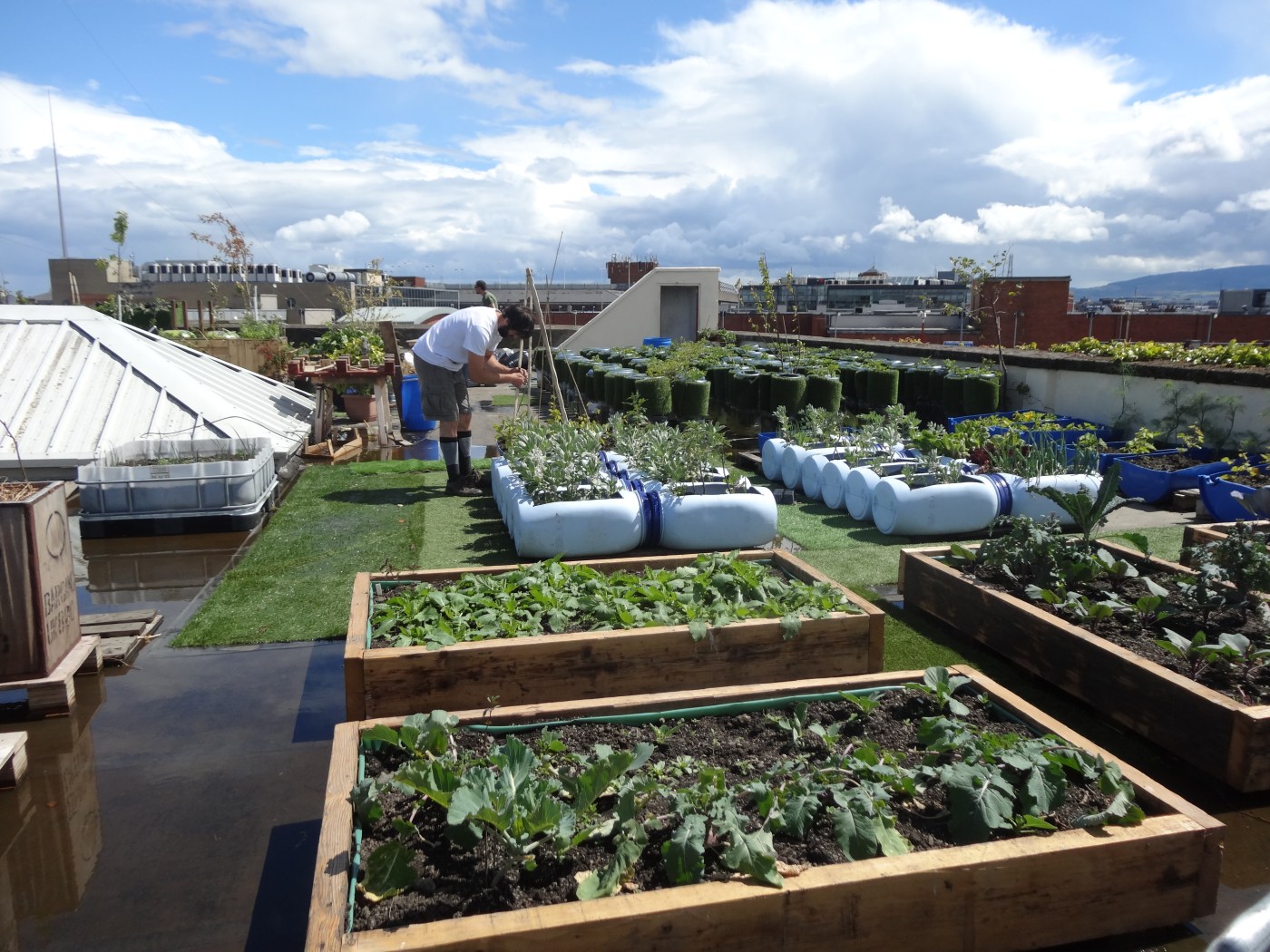 The World’s First Bee Highway. | Jardin