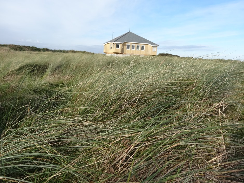 Biodiversity and Bull Island. | Jardin