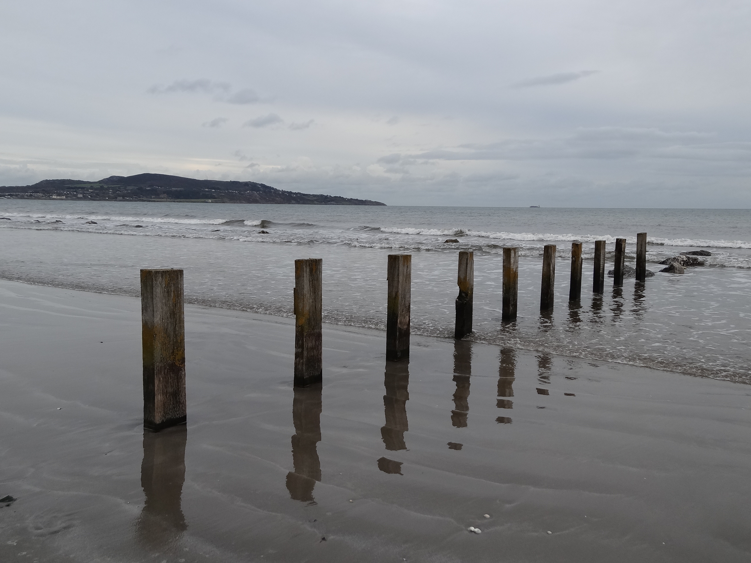 Biodiversity and Bull Island. | Jardin