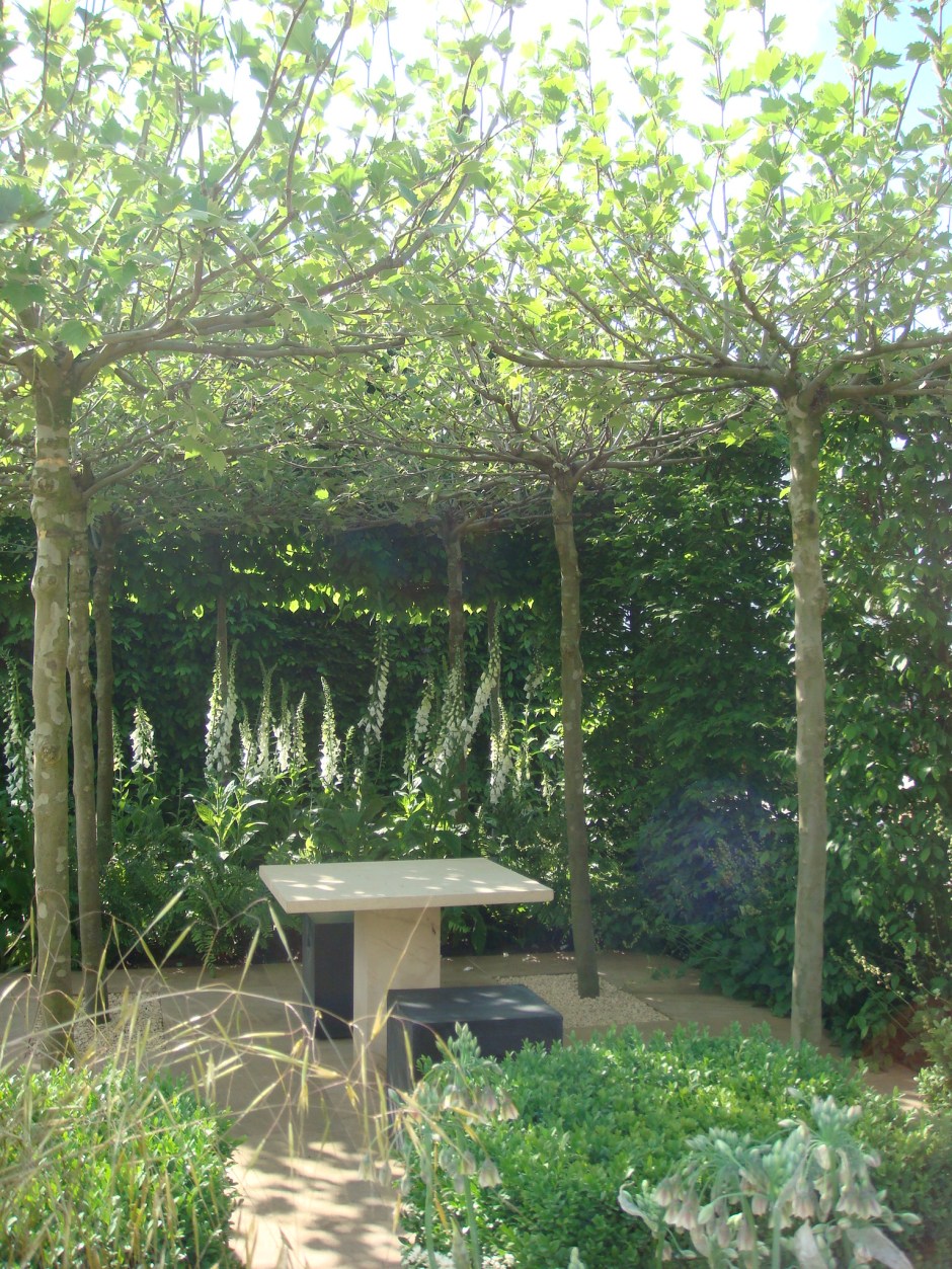 Pleaching – the art of taming nature no1 | Jardin