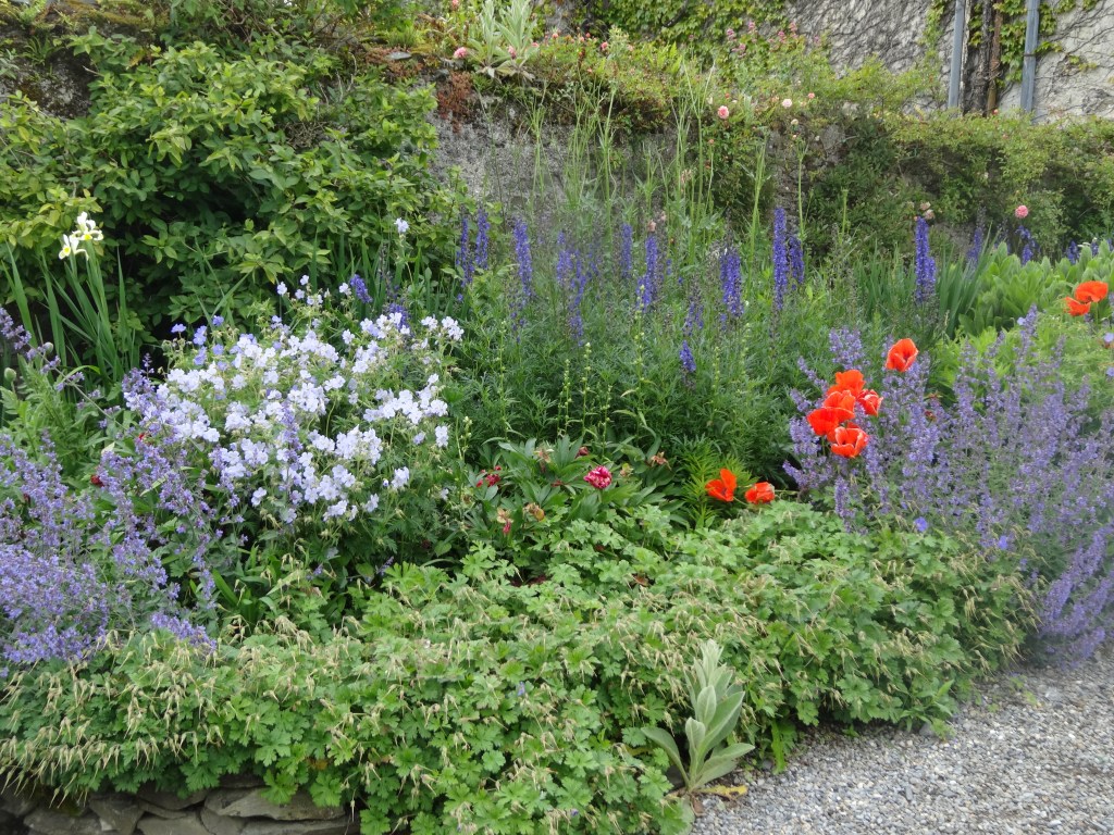 Using Blue in the garden. | Jardin
