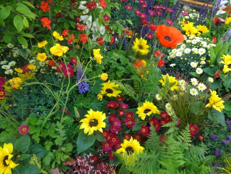 Irish garden design showcased – Bloom 2014. | Jardin