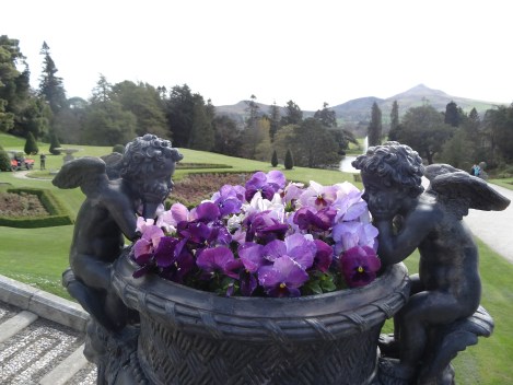 An Irish Garden in the “World’s Top 10”. | Jardin