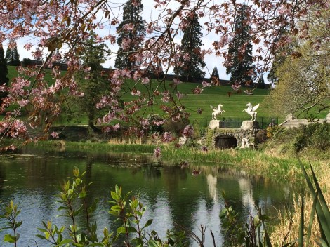 An Irish Garden in the “World’s Top 10”. | Jardin