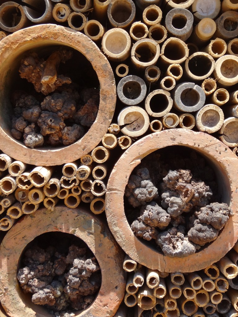 Insect hotels : what, why and how. | Jardin