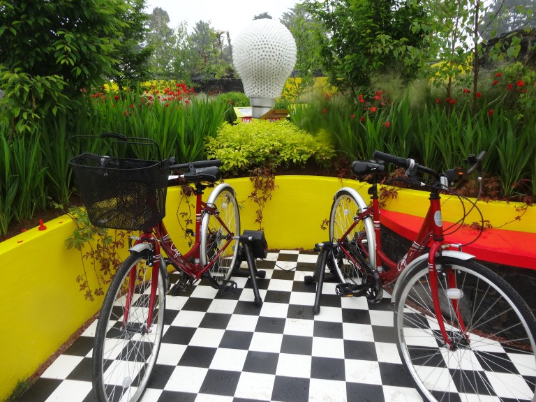 Irish garden design showcased – Bloom 2014. | Jardin