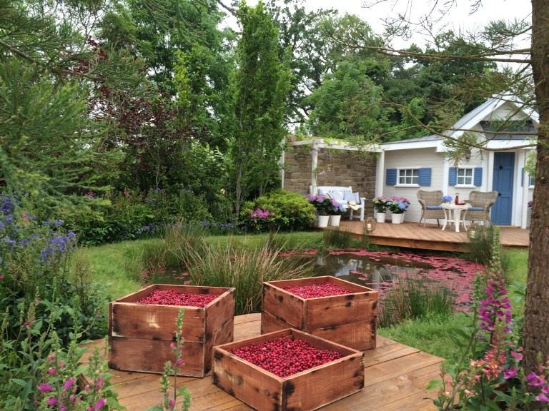 Irish garden design showcased – Bloom 2014. | Jardin