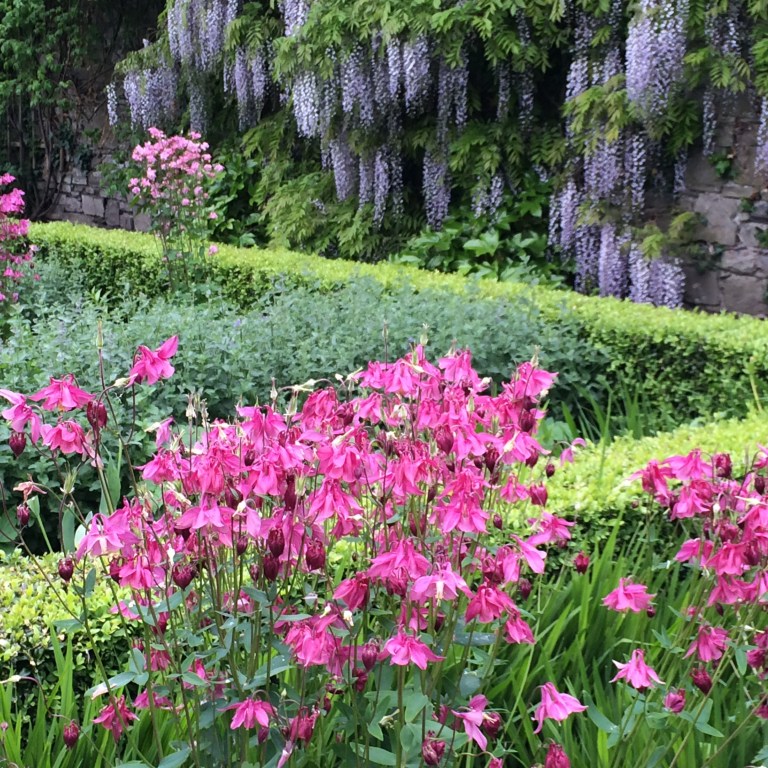 IMMA – Modern art in a formal garden. | Jardin