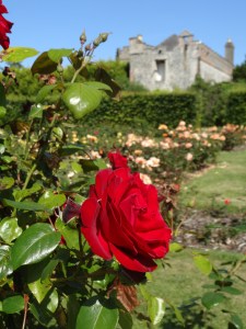 The Gardens at Ardgillan Castle. | Jardin