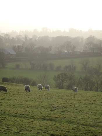 Ireland’s most revered ancient landscape. | Jardin