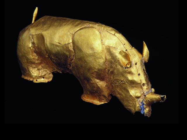 The elusive golden rhino of Mapungubwe. | Jardin