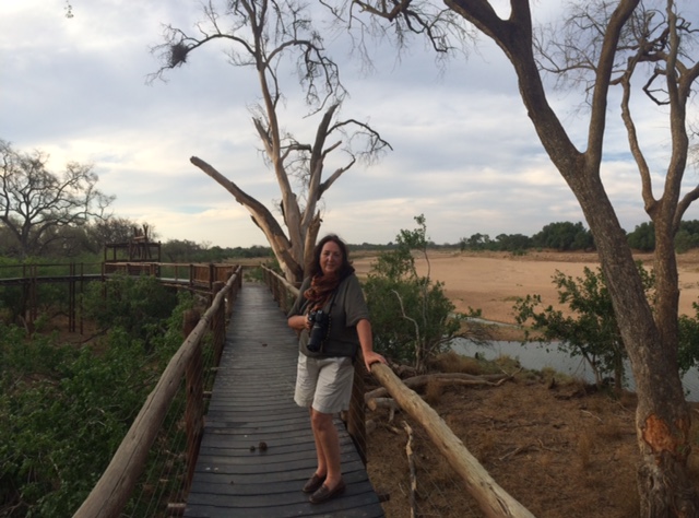 The elusive golden rhino of Mapungubwe. | Jardin